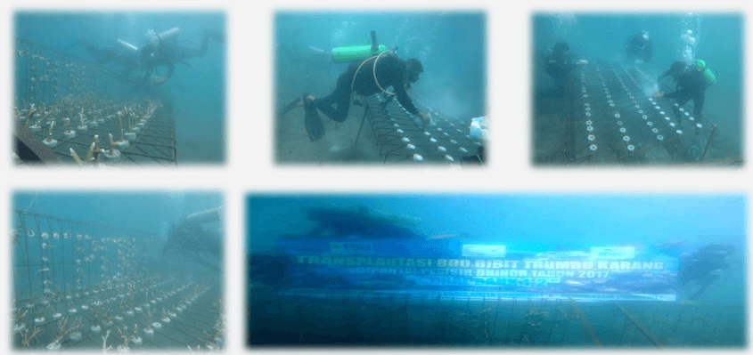 Mengunjungi PLTU Pertama Peraih Proper Emas Unit Pembangkit Paiton