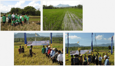 Mengunjungi PLTU Pertama Peraih Proper Emas Unit Pembangkit Paiton