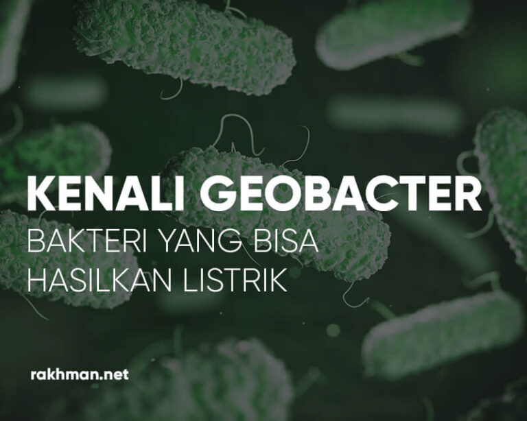 Kenali Geobacter, Bakteri yang Bisa Hasilkan Listrik! - Alief Rakhman