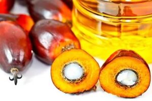 CPO (Crude Palm Oil), Ini Produk Turunan dan Keunggulannya - Alief Rakhman