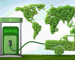 Biofuel: Jenis, Kegunaan, Kelebihan, dan Kekurangannya - Alief Rakhman